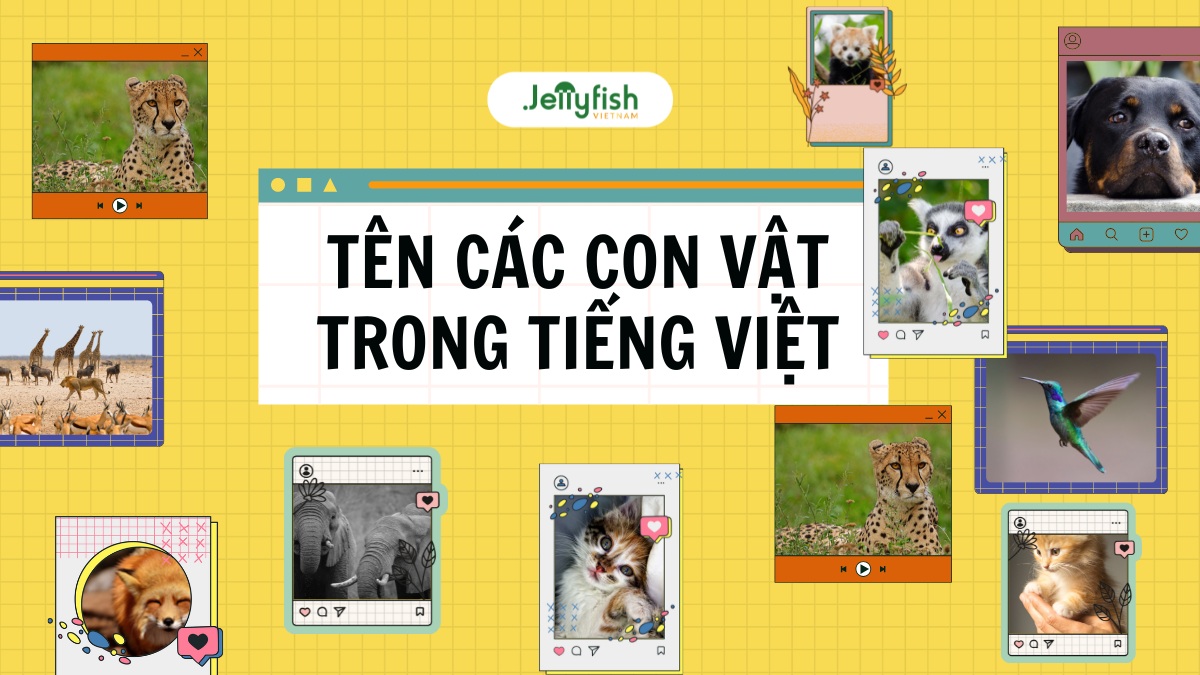 40+ TÊN CÁC CON VẬT BẰNG TIẾNG VIỆT SIÊU DỄ